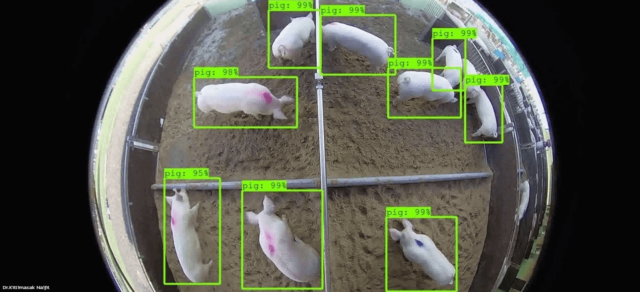 การใช้เทคโนโลยีการประมวลผลภาพ (Image Processing Technology) เพื่อเพิ่ม ...